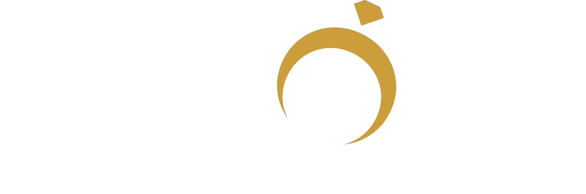 The One Wedding Show - St. Charles Convention Center